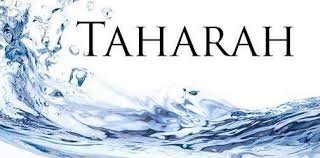 Fiqh of taharah - Hawzah News Agency