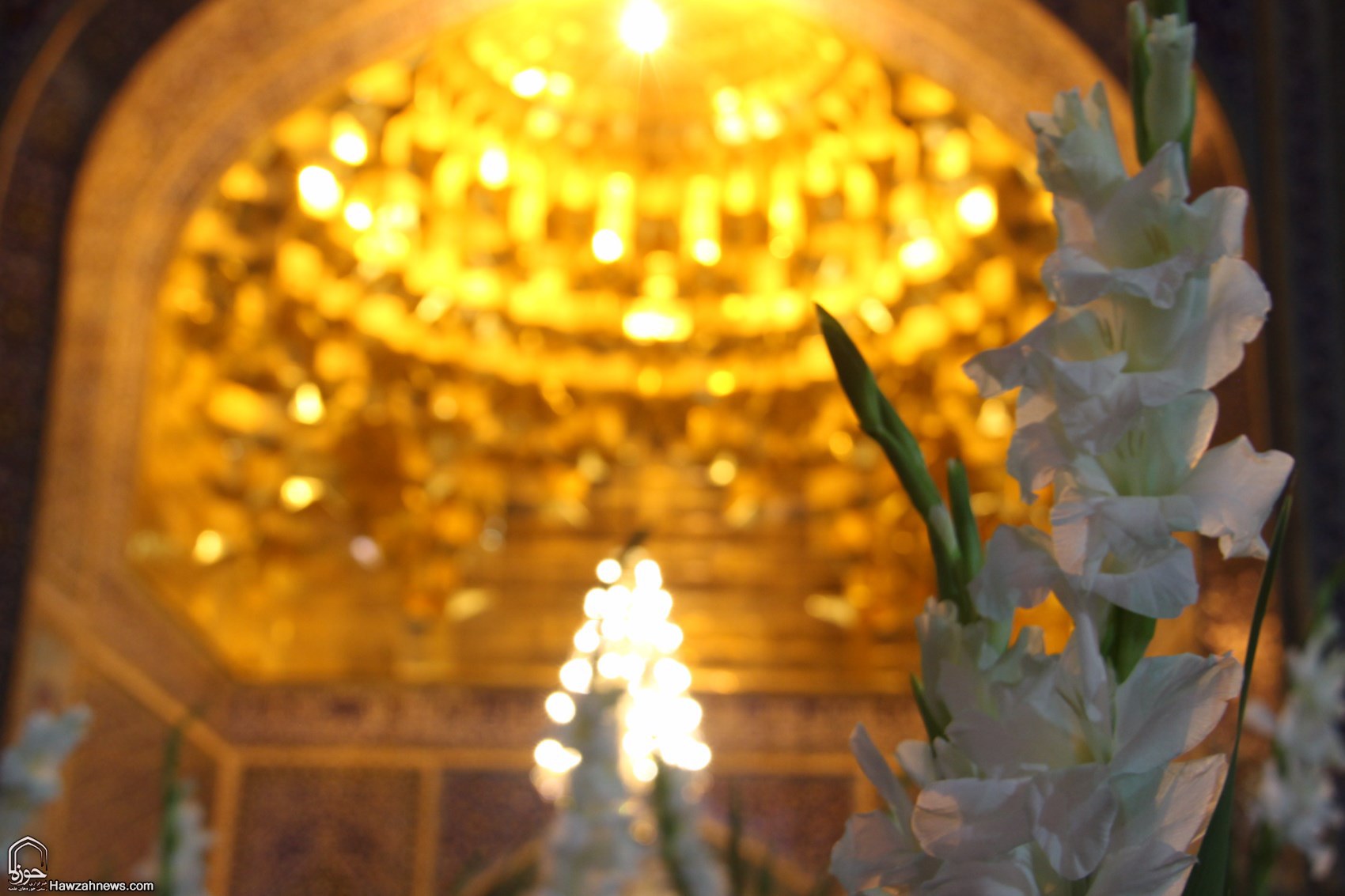 In Photos: Birthday Anniversary of Imam al-Ridha celebrated in Qom ...